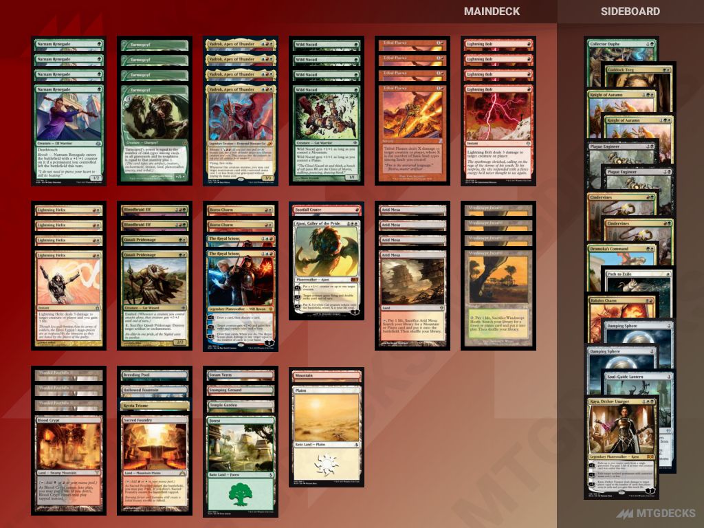 Modern Zoo deck by beestjes • MTG DECKS